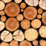 Timber and Related Products – Demajo Timbers