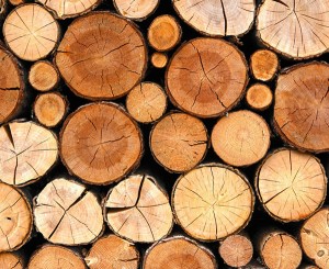 Timber and Related Products – Demajo Timbers